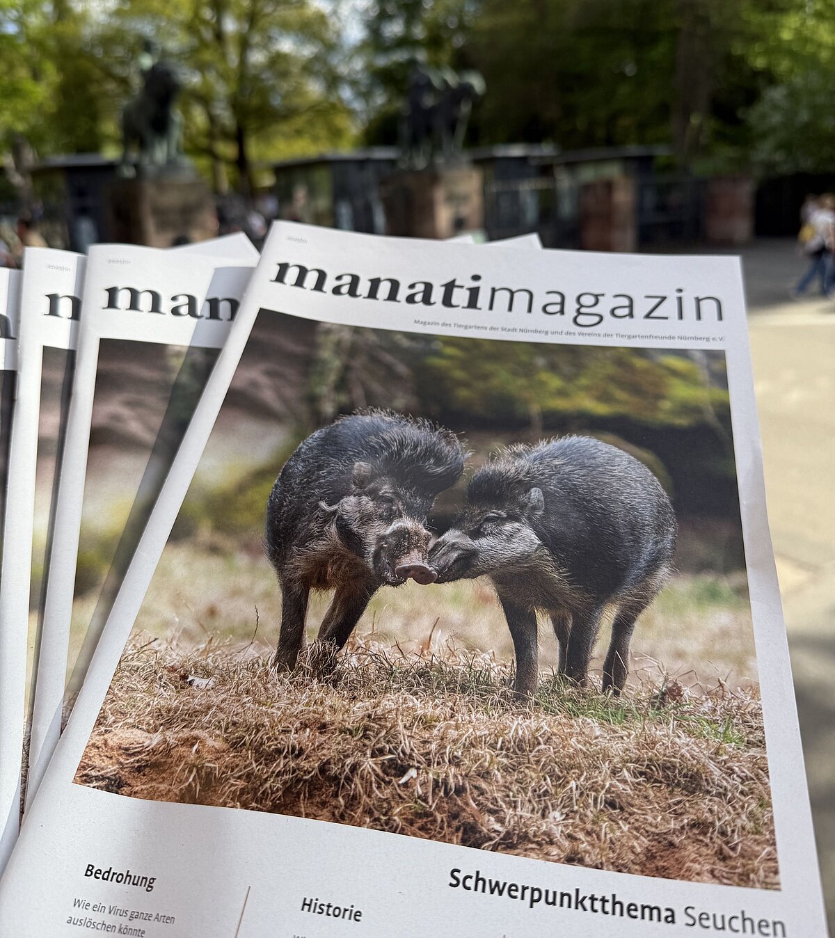 tiergarten.nuernberg.de: Detail