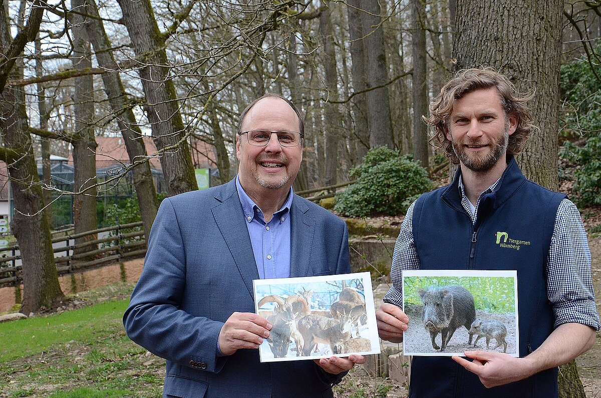 tiergarten.nuernberg.de: Detail