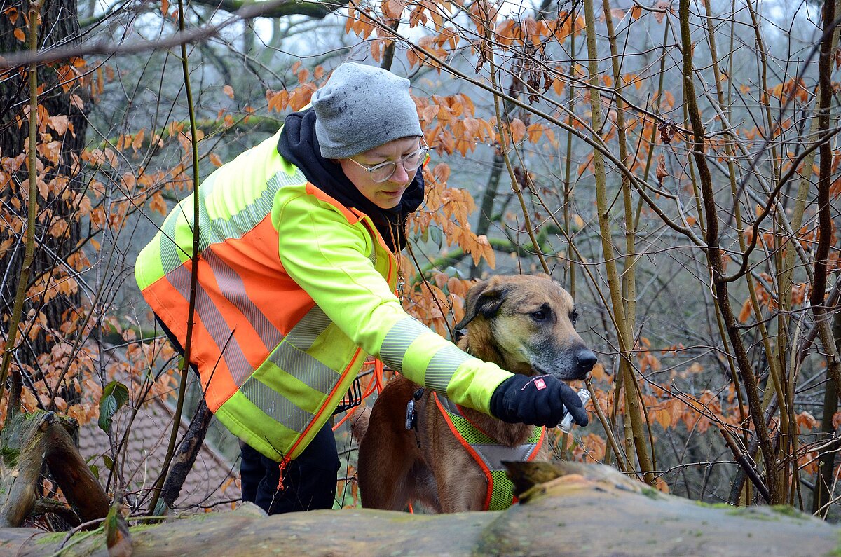 tiergarten.nuernberg.de: Detail