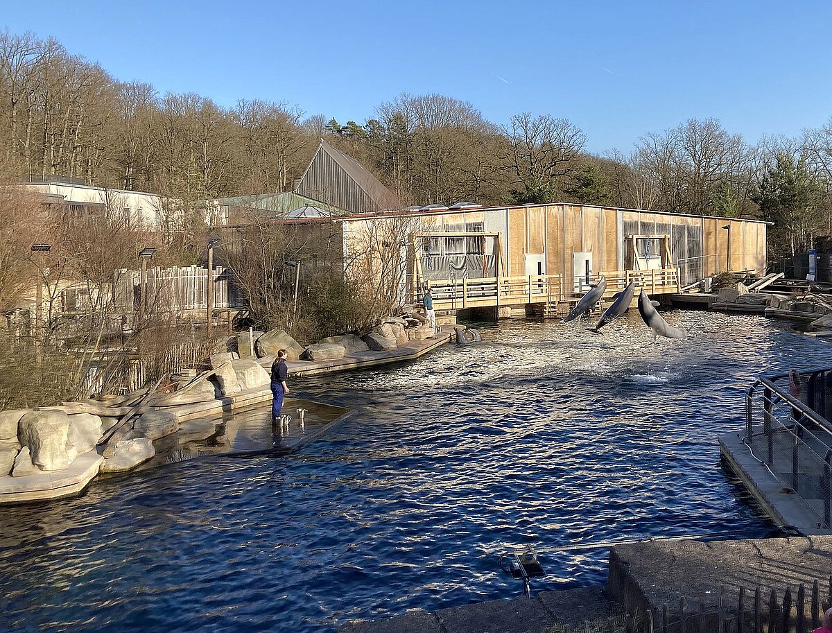 tiergarten.nuernberg.de: Detail