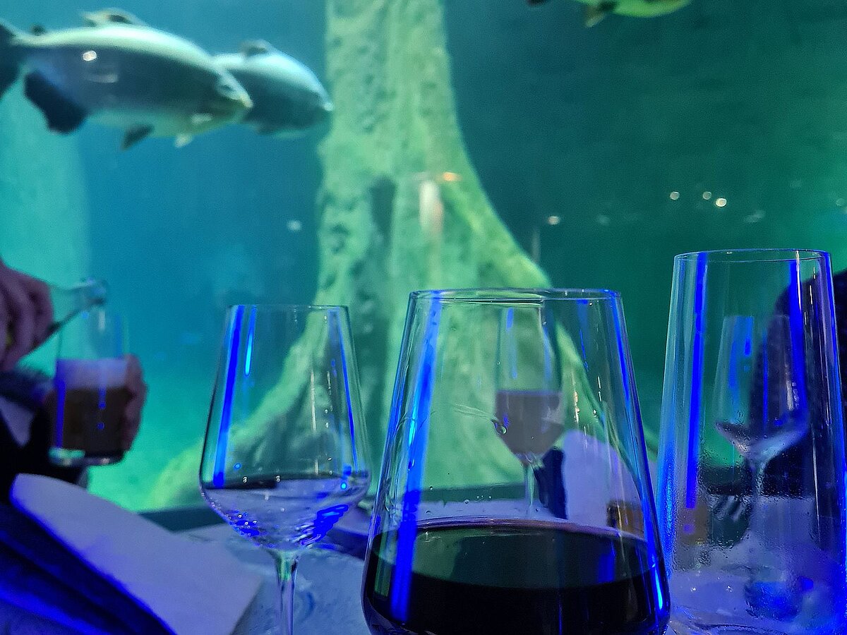 tiergarten.nuernberg.de: Detail