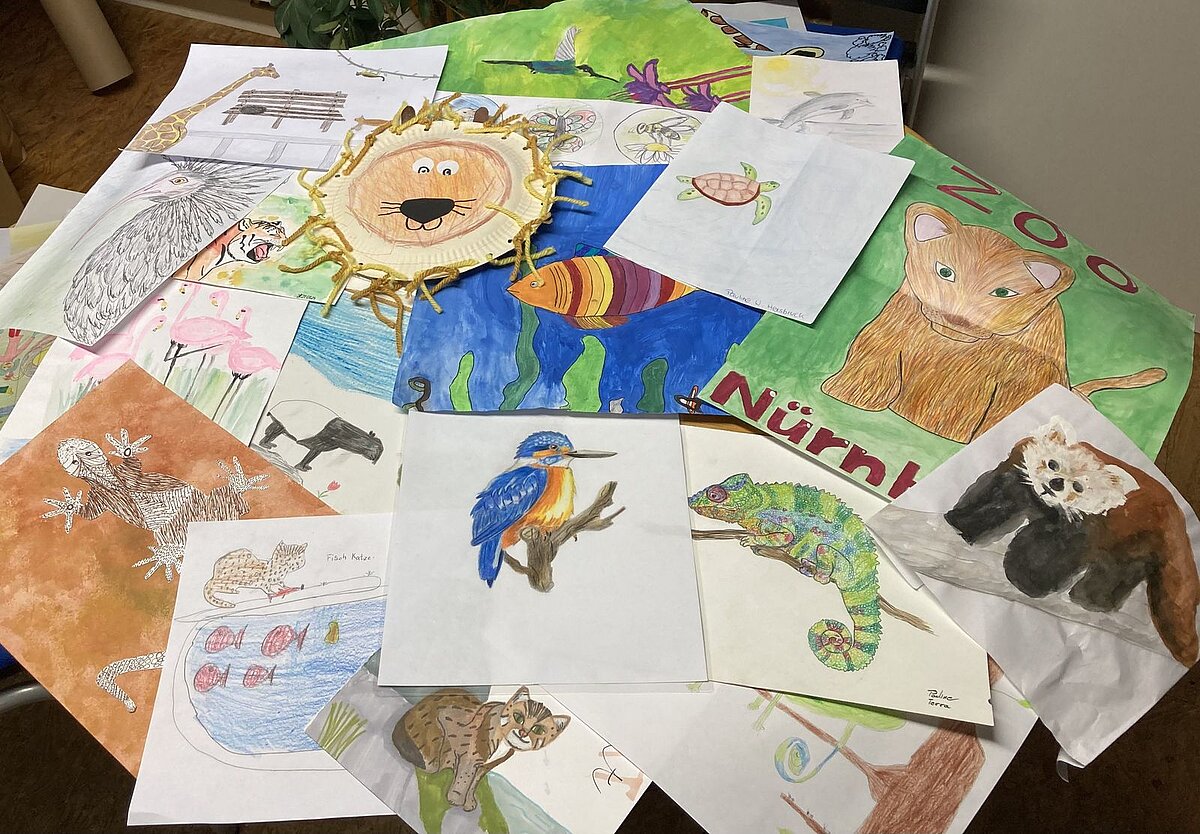 tiergarten.nuernberg.de: Detail