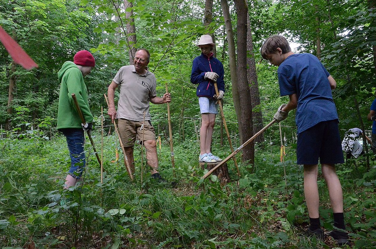 tiergarten.nuernberg.de: Detail