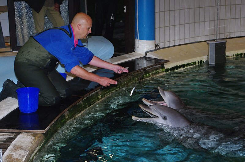 tiergarten.nuernberg.de: Detail